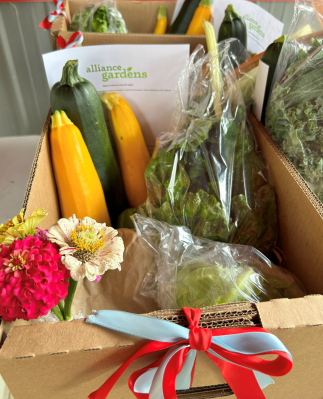 Farm Box | FARM-BOX | Community Education - Home